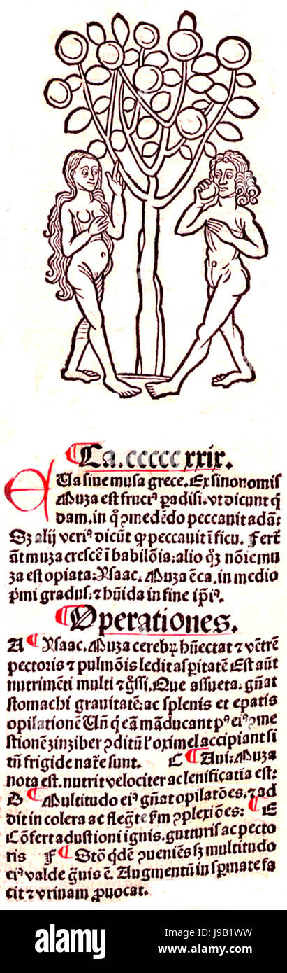 Zua hi-res stock photography and images - Alamy