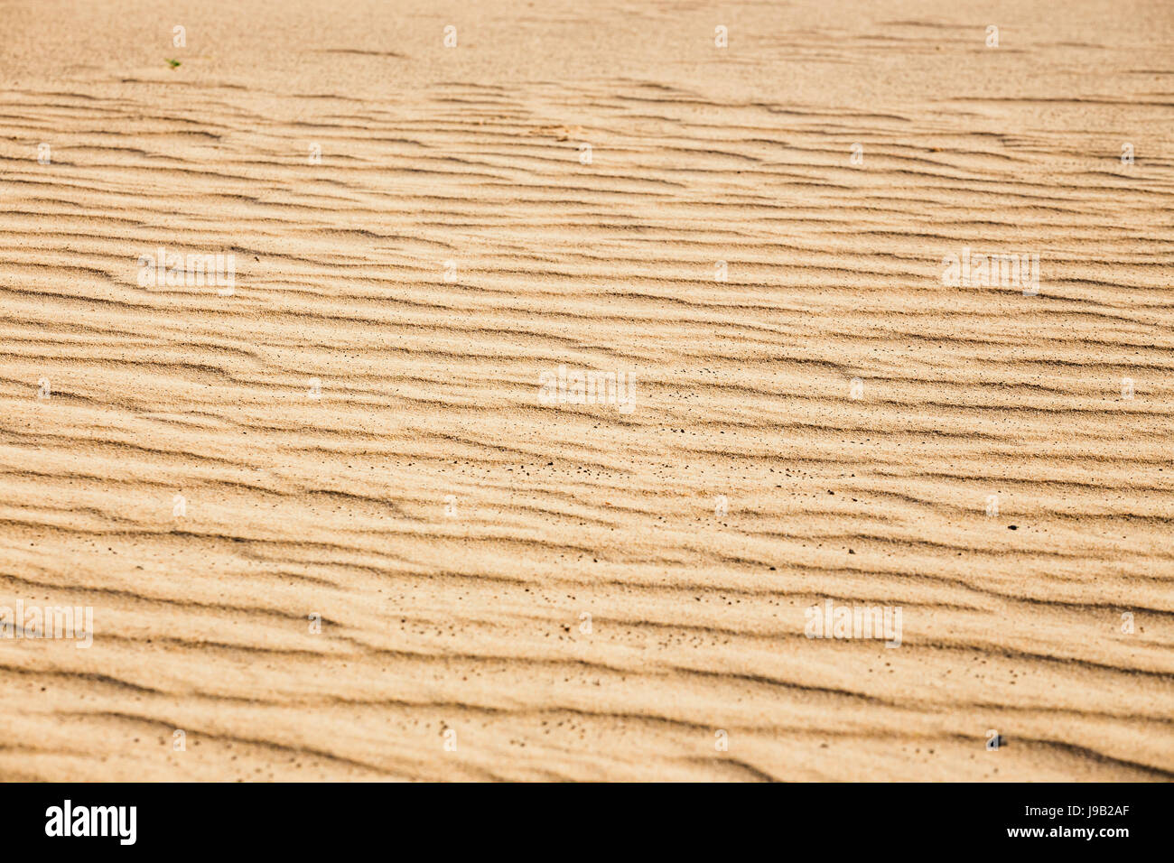 Lines in the sand of a beach, close up Stock Photo - Alamy
