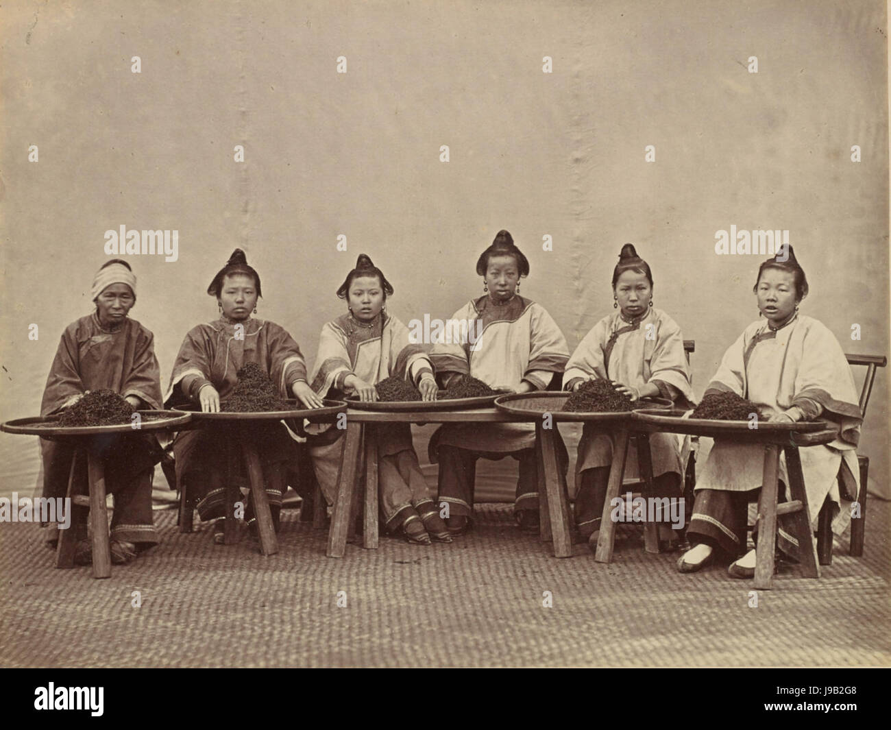 Vintage photo of sorting tea hi-res stock photography and images - Alamy