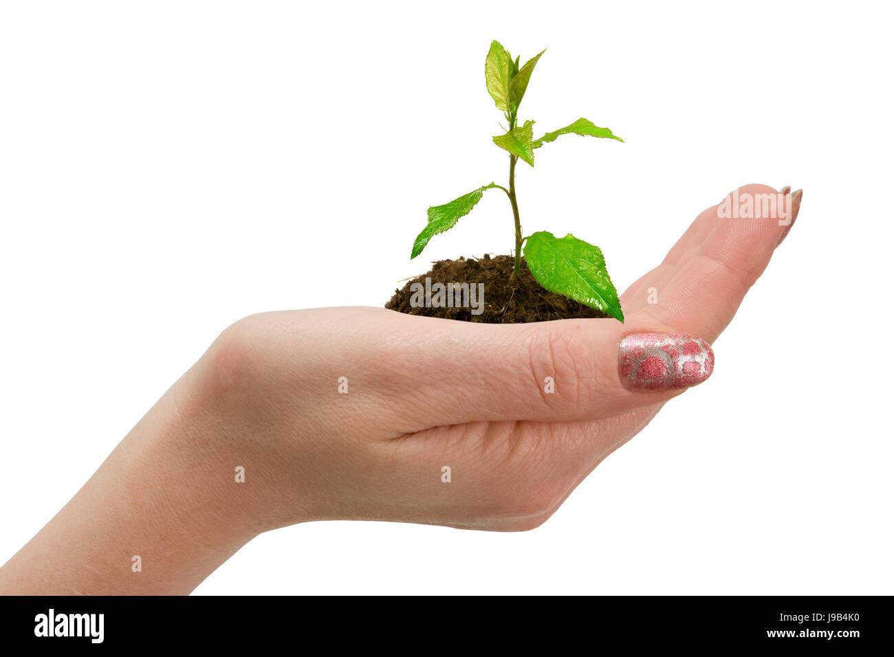 environment, enviroment, green, care, ecology, recycling, nature, hand ...