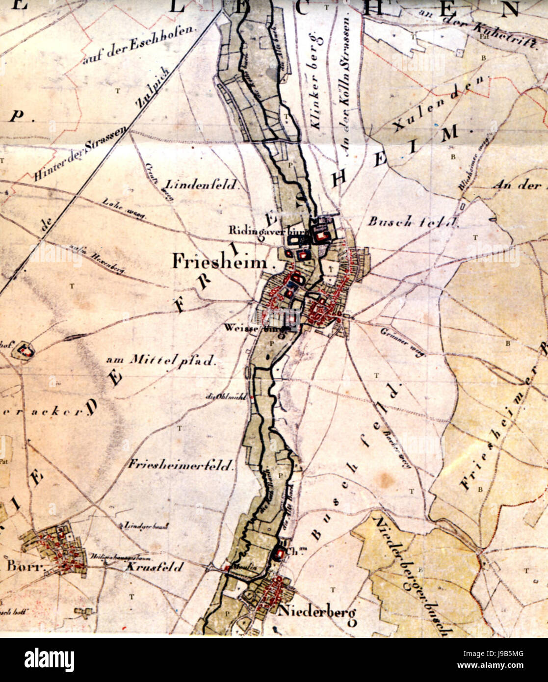 Friesheim hi-res stock photography and images - Alamy