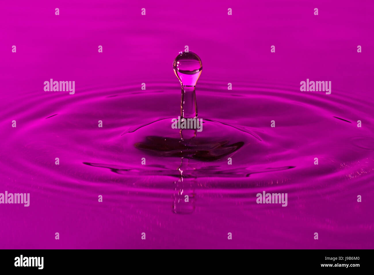 purple, violet, drop, drip, abstract, droplet, water, drops, seeping ...