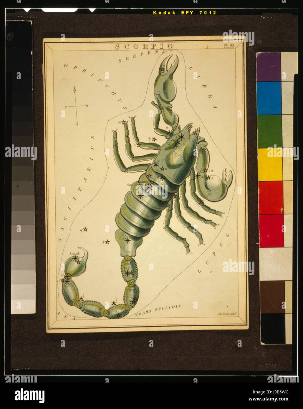 Scorpion sign hi-res stock photography and images - Alamy