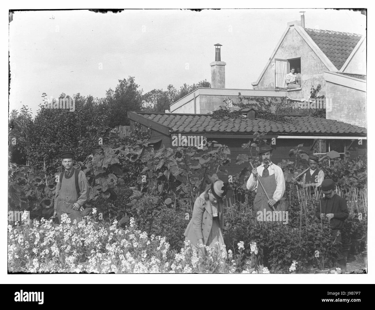 Ververspad, foto 17 Jacob Olie (max res Stock Photo - Alamy