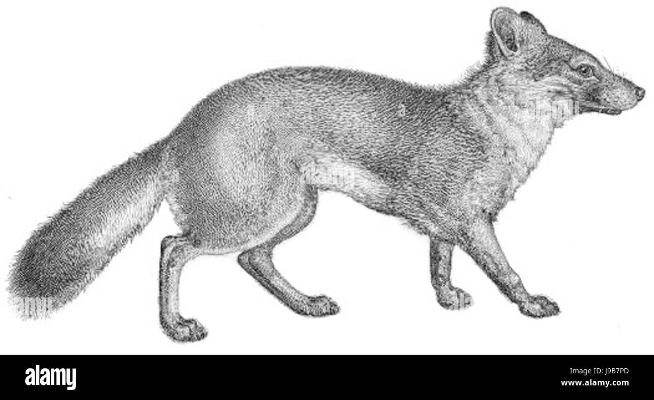 Regions covered Black and White Stock Photos & Images - Alamy