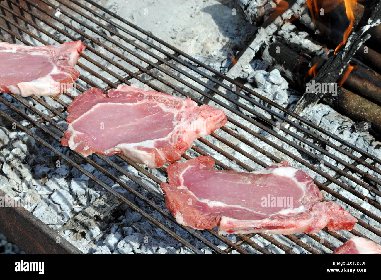 food, aliment, hot, sauce, raw, dish, meal, grill, barbecue, barbeque ...