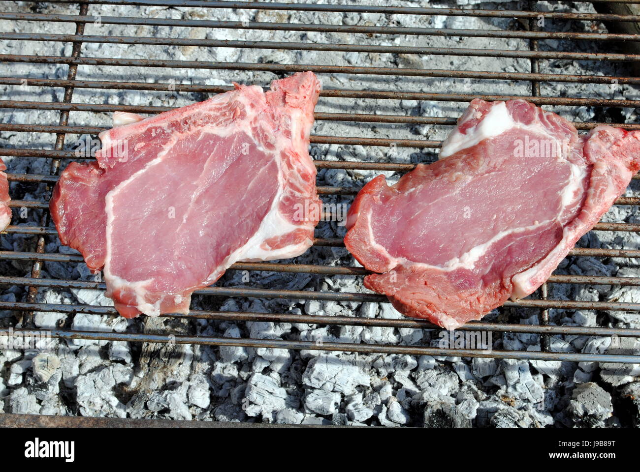 food, aliment, hot, sauce, raw, dish, meal, grill, barbecue, barbeque ...