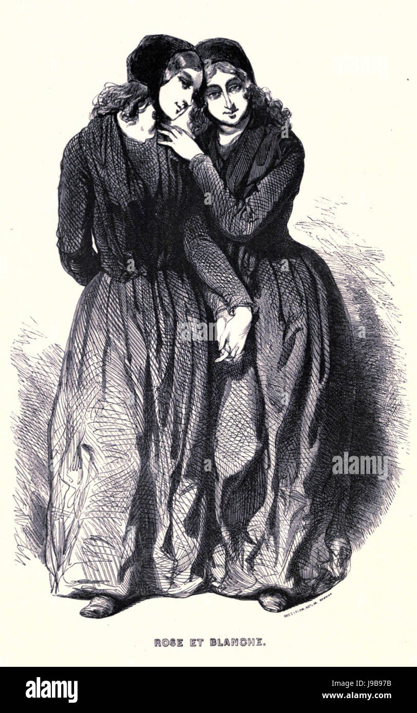 Rose blanche et rose hi-res stock photography and images - Alamy