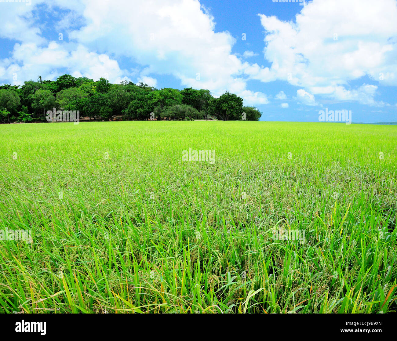 blue, religion, space, heaven, paradise, shine, shines, bright, lucent ...