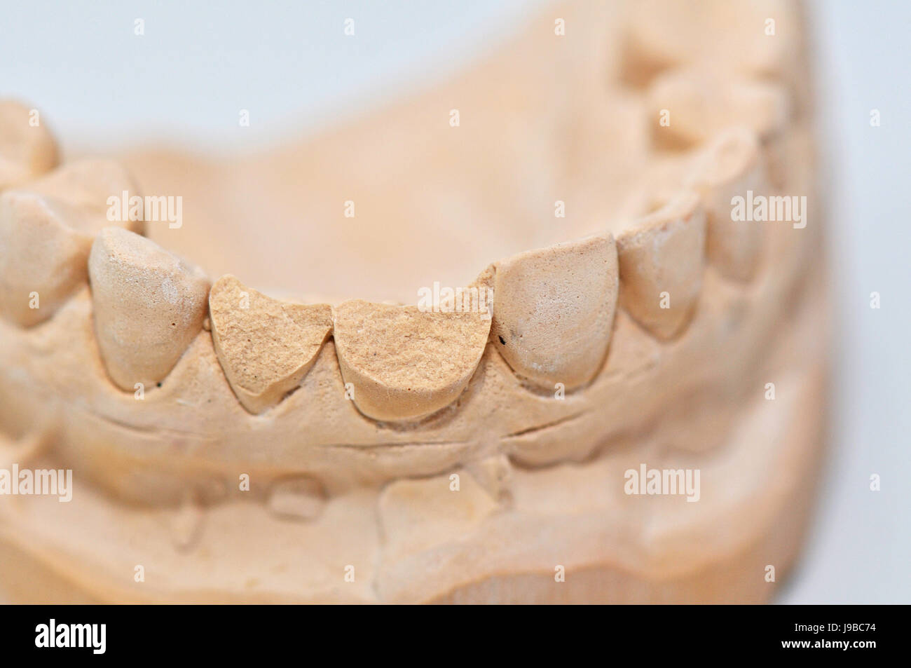 Gnashing hi-res stock photography and images - Alamy