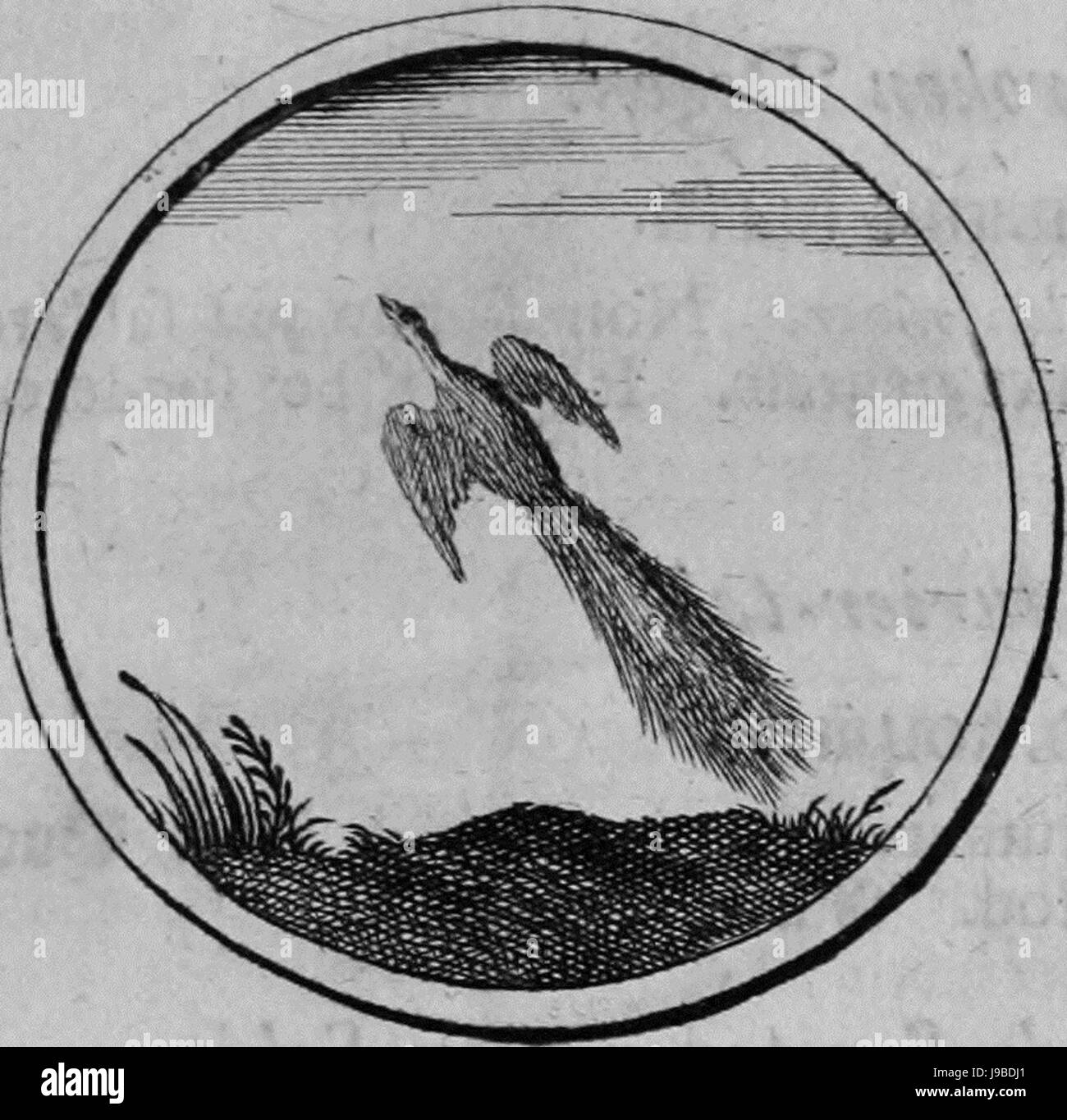 Emblemata Black and White Stock Photos & Images - Alamy