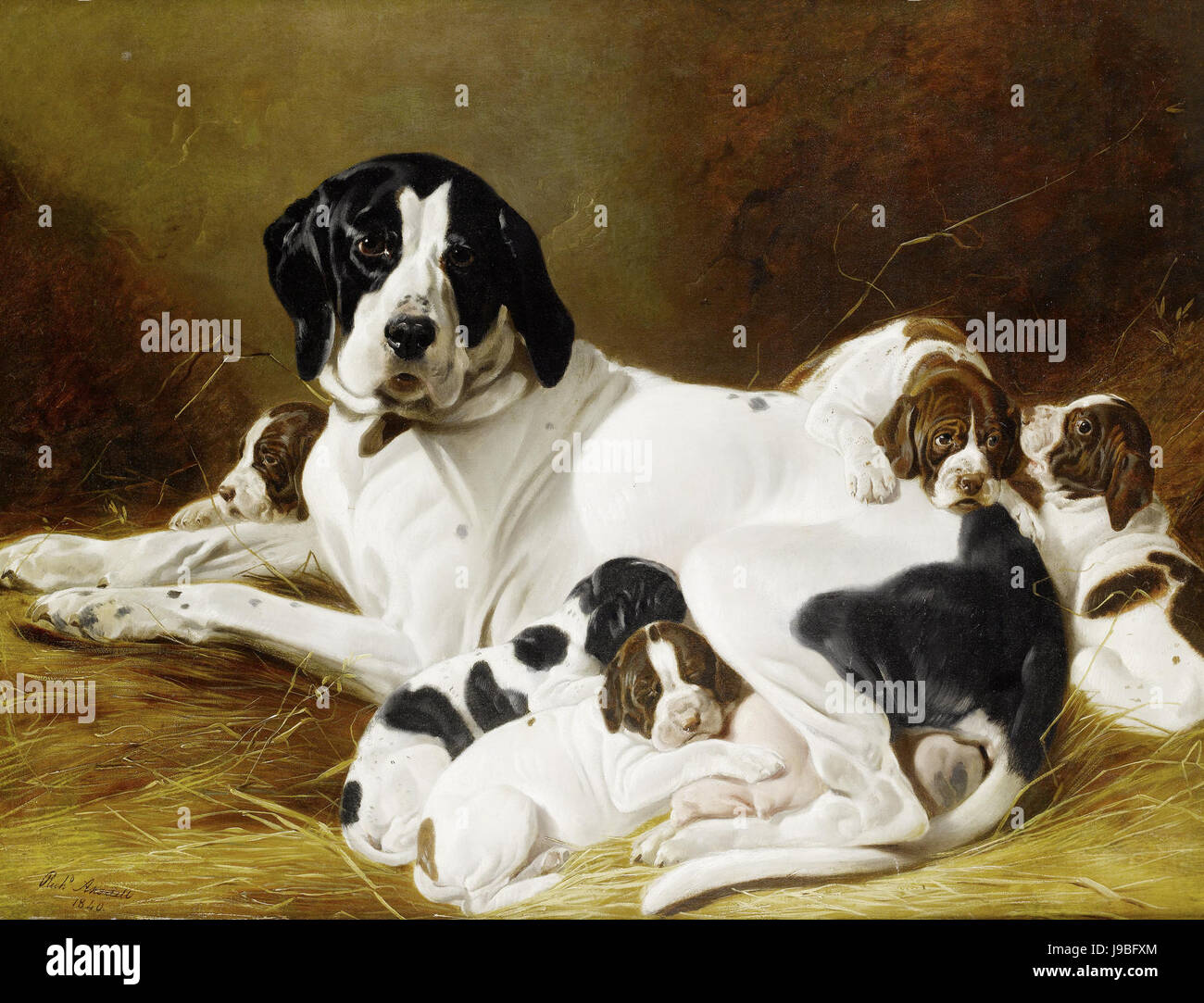 2017 02 Richard Ansdell The new litter Stock Photo - Alamy