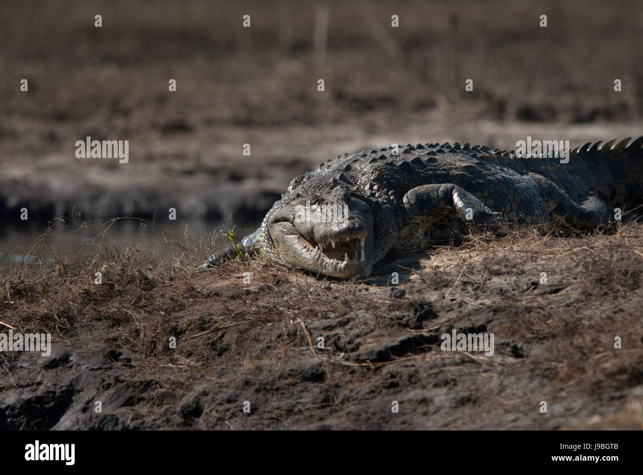 danger, indicate, show, big, large, enormous, extreme, powerful ...