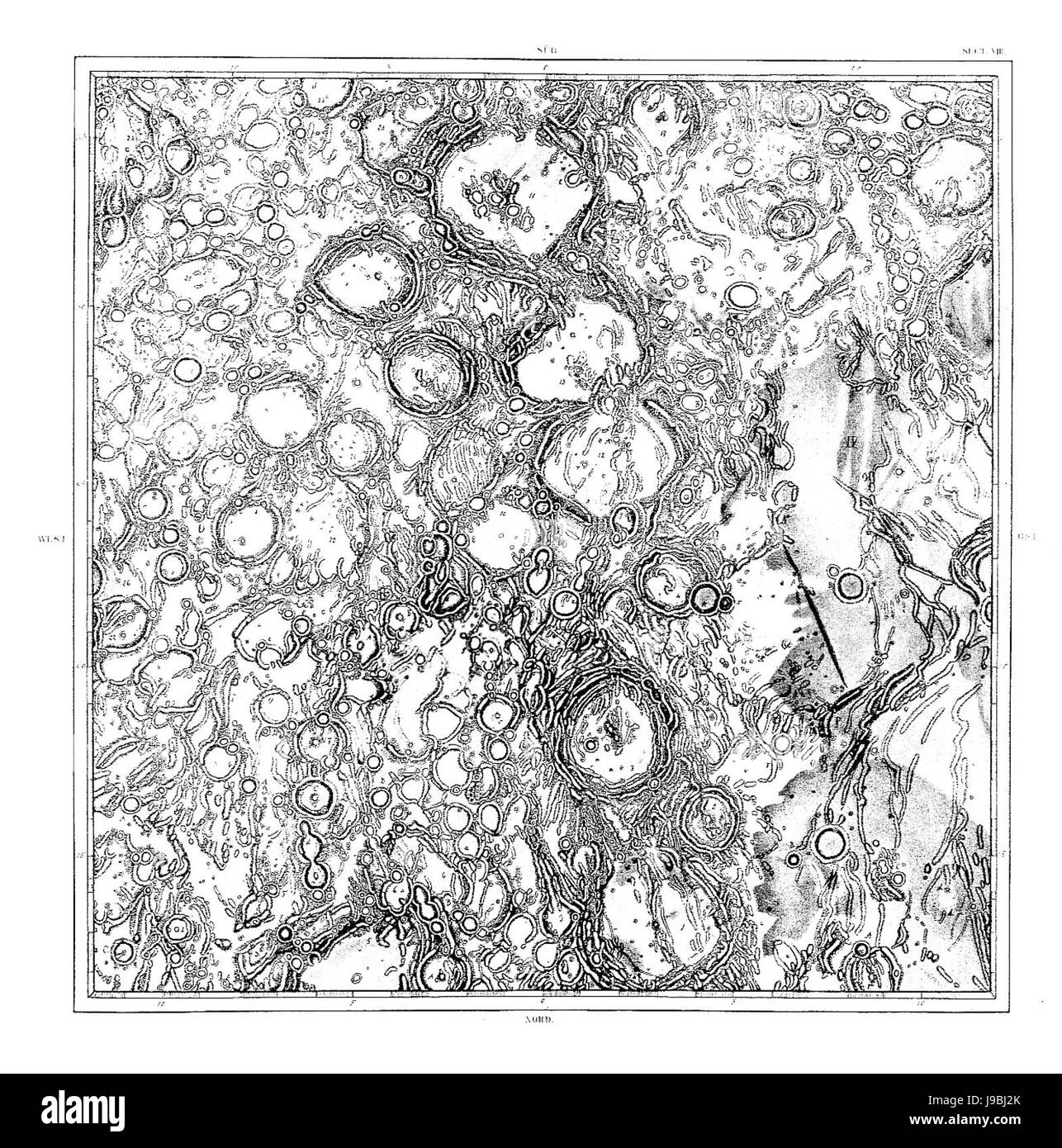 Collection catalogued Cut Out Stock Images & Pictures - Alamy