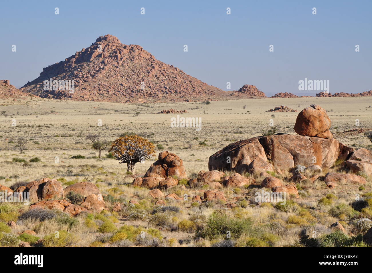 desert, wasteland, national park, namibia, dryness, heat, drought ...