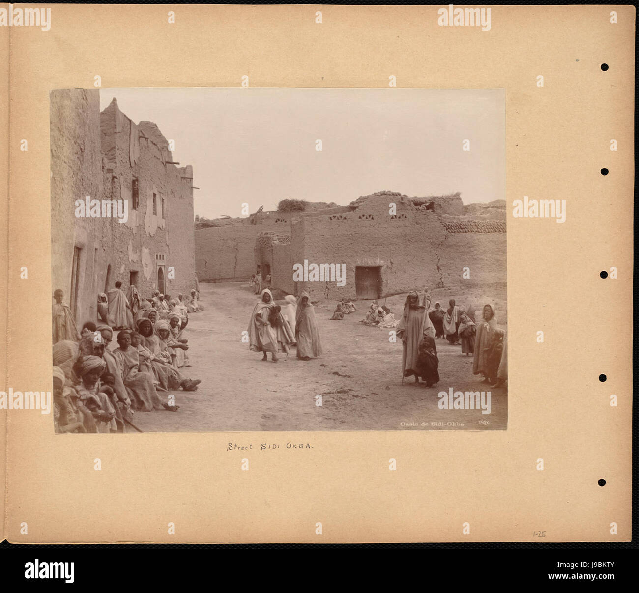 Okba hi-res stock photography and images - Alamy