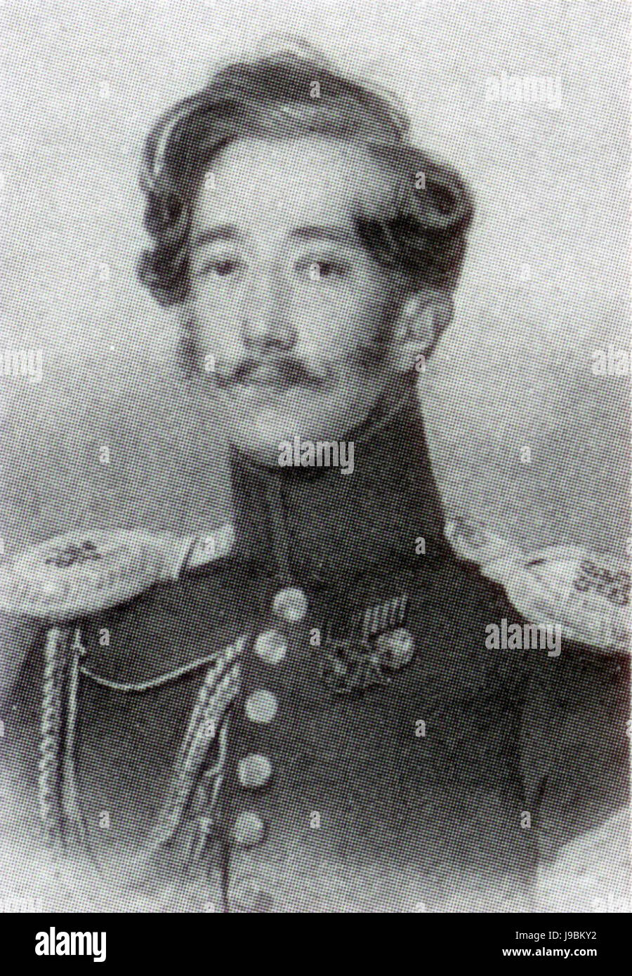 Peter Demidov by Sokolov Stock Photo - Alamy