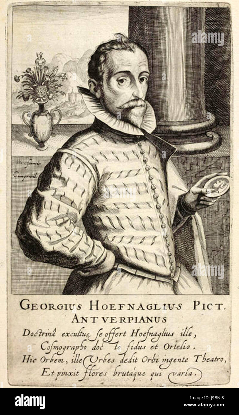 Portrait of Joris Hoefnagel Stock Photo - Alamy