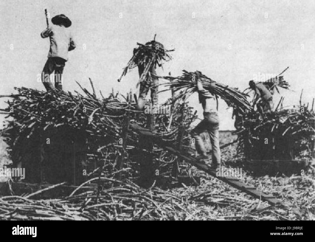 19th century sugar plantation hi-res stock photography and images - Alamy