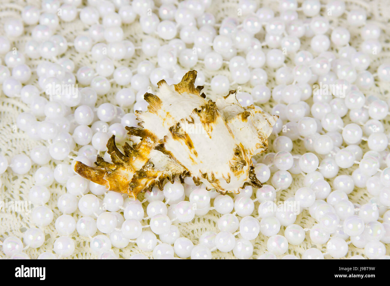 one cockleshell and beads of pearls Stock Photo - Alamy