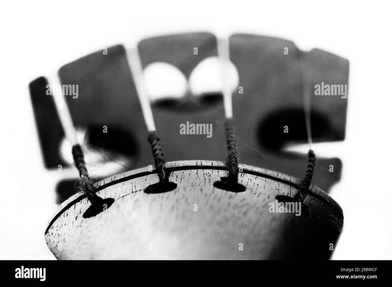 detail, strings, violin, sign, fiddle, measure, instrument, method ...