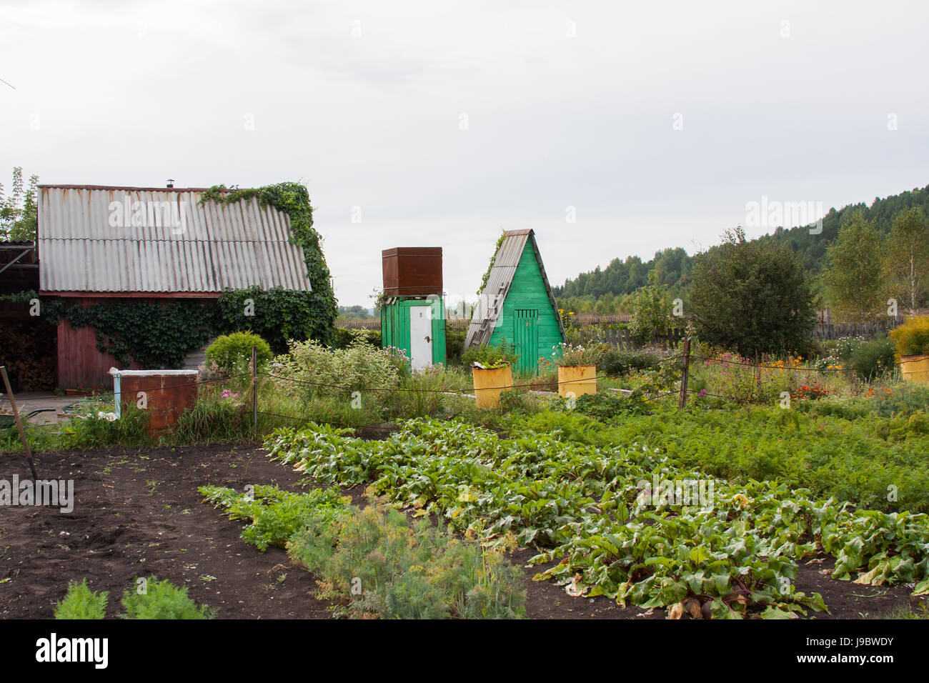 Rural landscape with village house and garden Stock Photo - Alamy