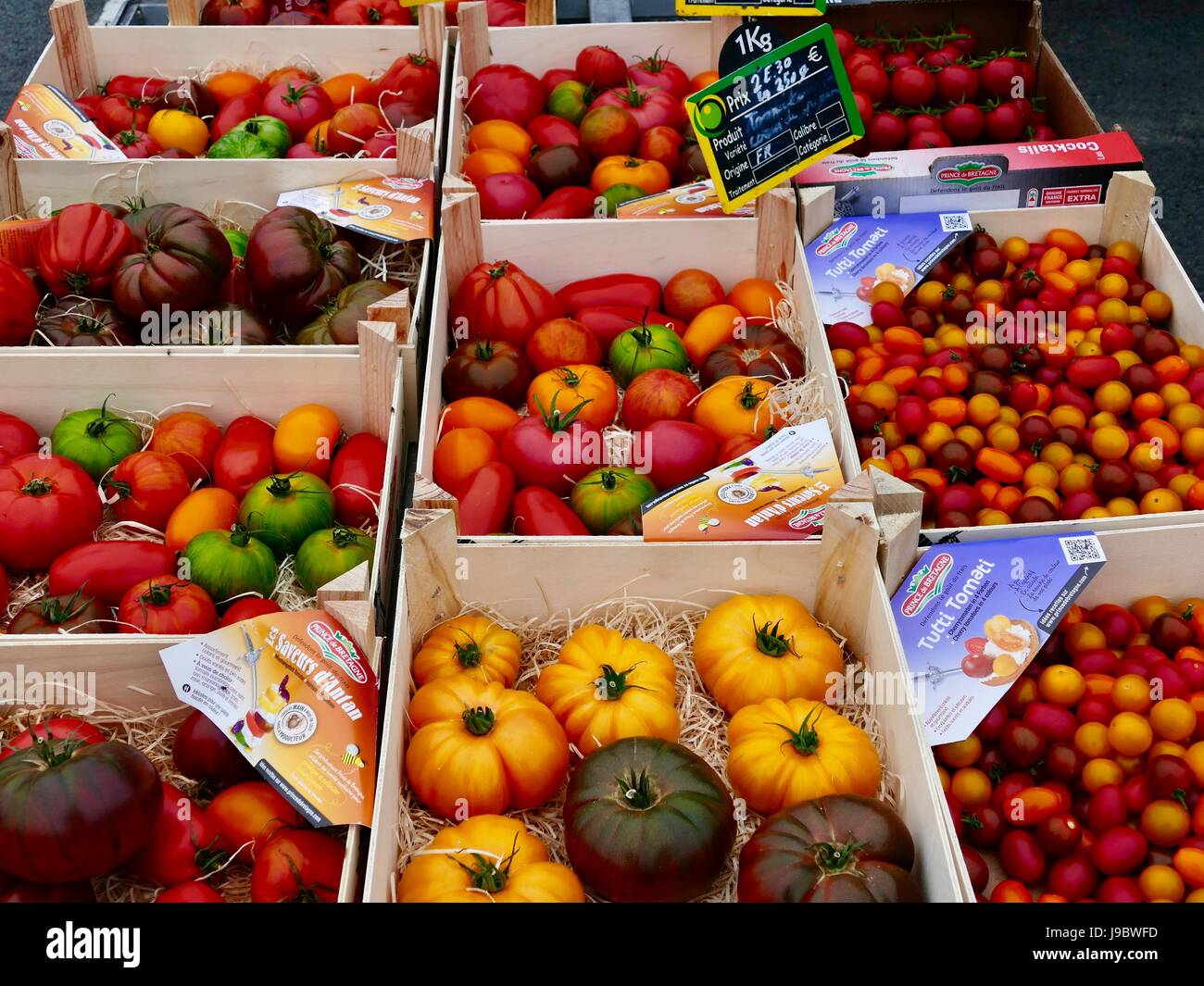 Tomatoes, display of bright, colorful, assorted sizes. Prince de ...