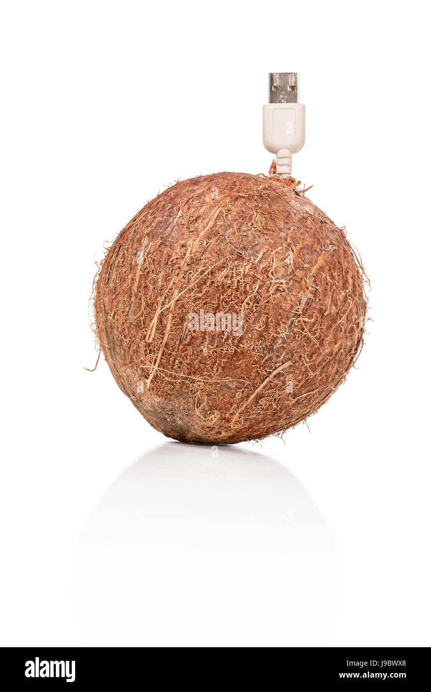 Conceptual photo - big round coconut with usb plug isolated on white ...