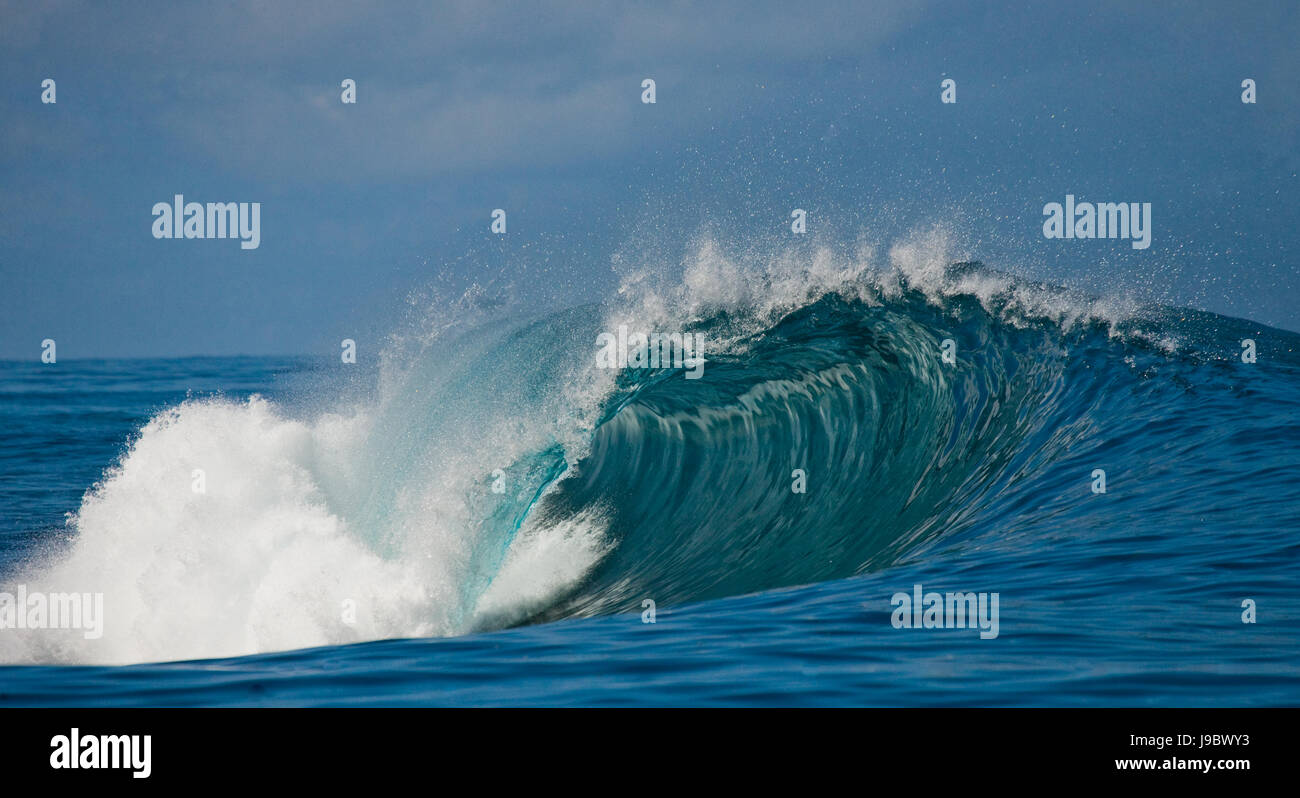 Beautiful ocean wave in the open ocean Stock Photo - Alamy