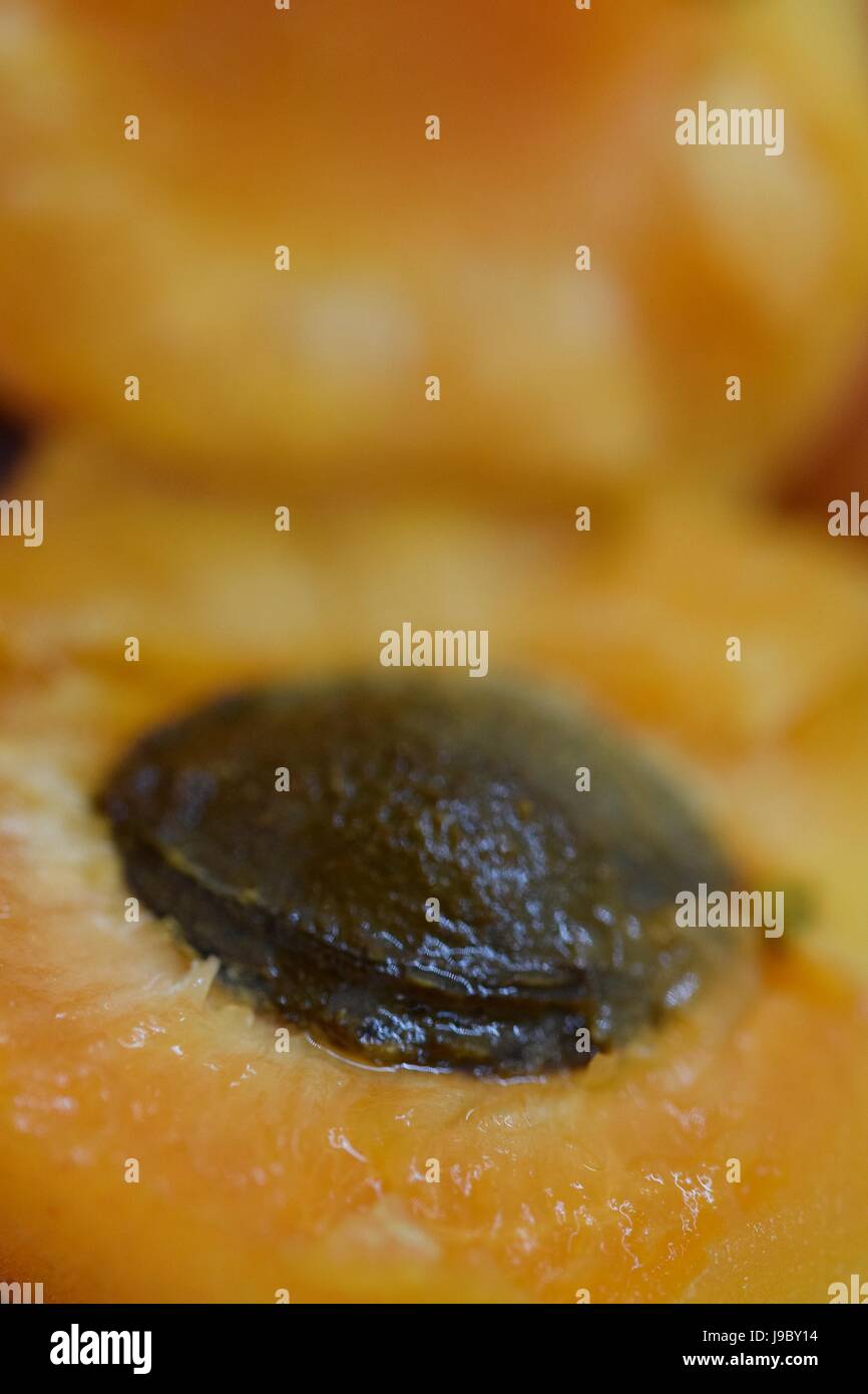 Macro view on the open inside of Prunus armeniaca fruit showing the pit ...