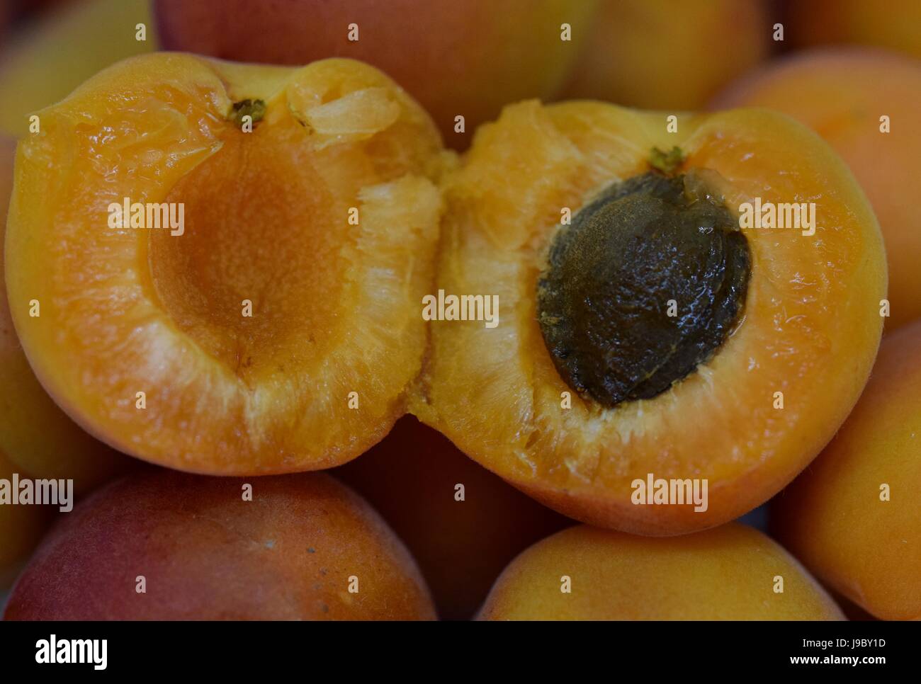 Macro view on the open inside of Prunus armeniaca fruit showing the pit ...