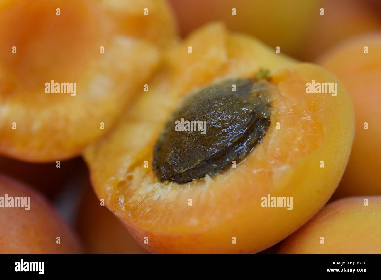 Macro view on the open inside of Prunus armeniaca fruit showing the pit ...