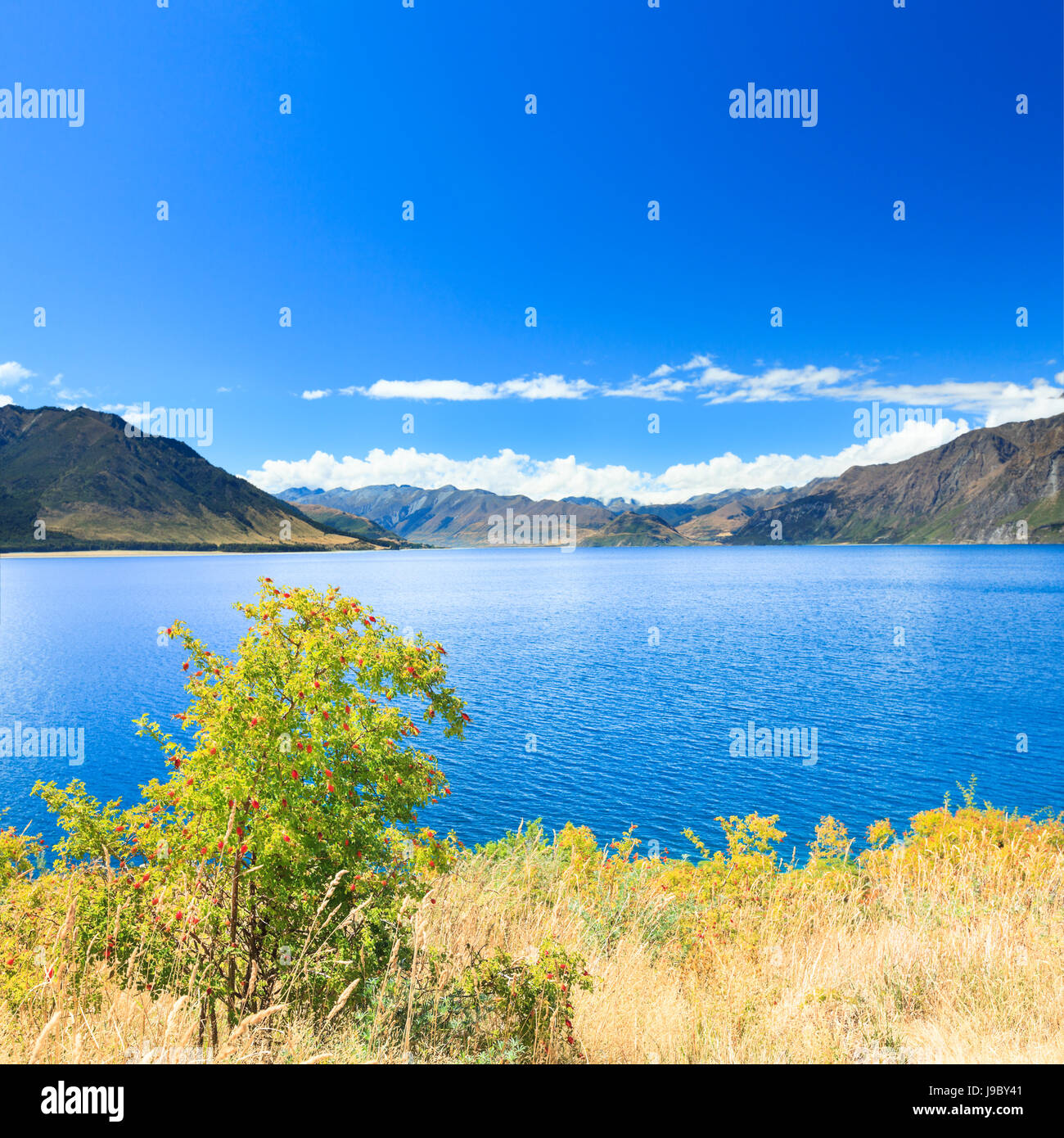 travel, new zealand, landscape, scenery, countryside, nature, beautiful ...