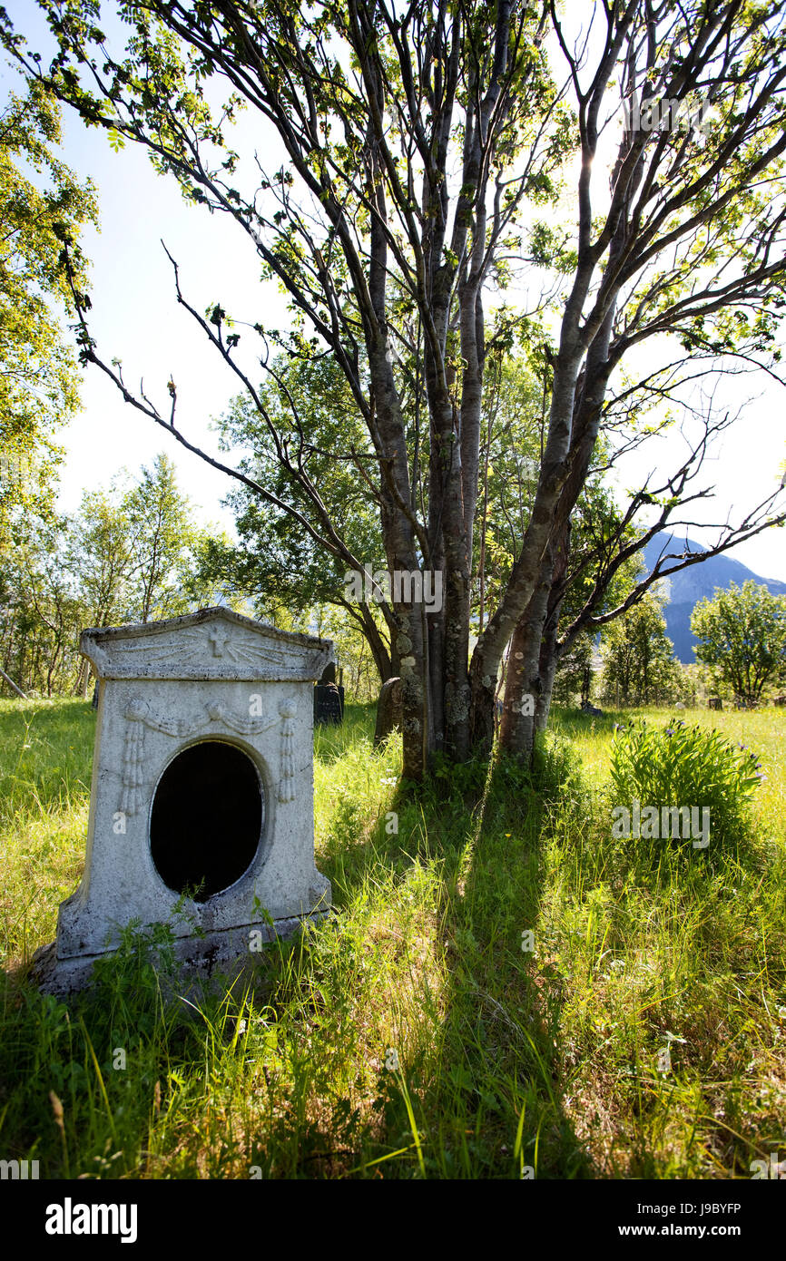 tree, trees, stone, rock, norway, cemetery, gravestone, tombstone, tomb ...