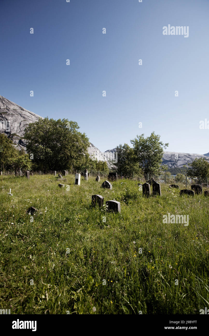 tree, trees, stone, antique, norway, cemetery, gravestone, tombstone ...
