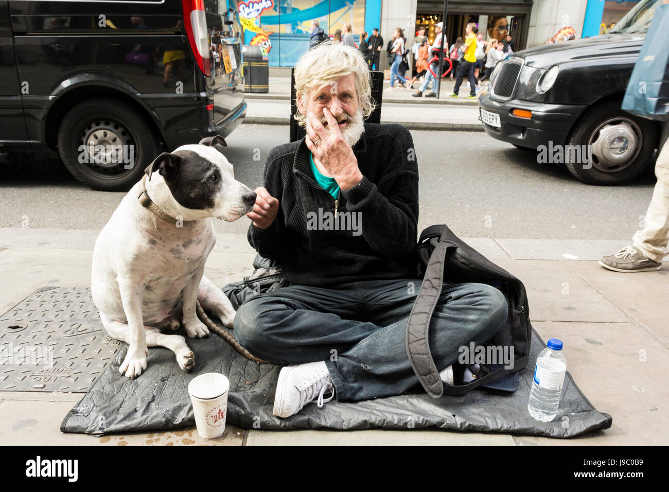 Dog man homelessness pet hi-res stock photography and images - Alamy