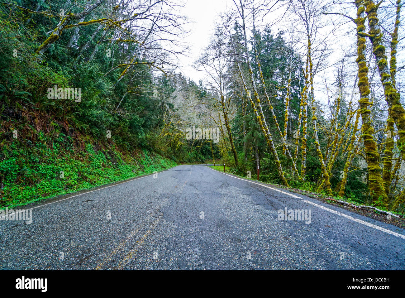 Clallam county hi-res stock photography and images - Alamy