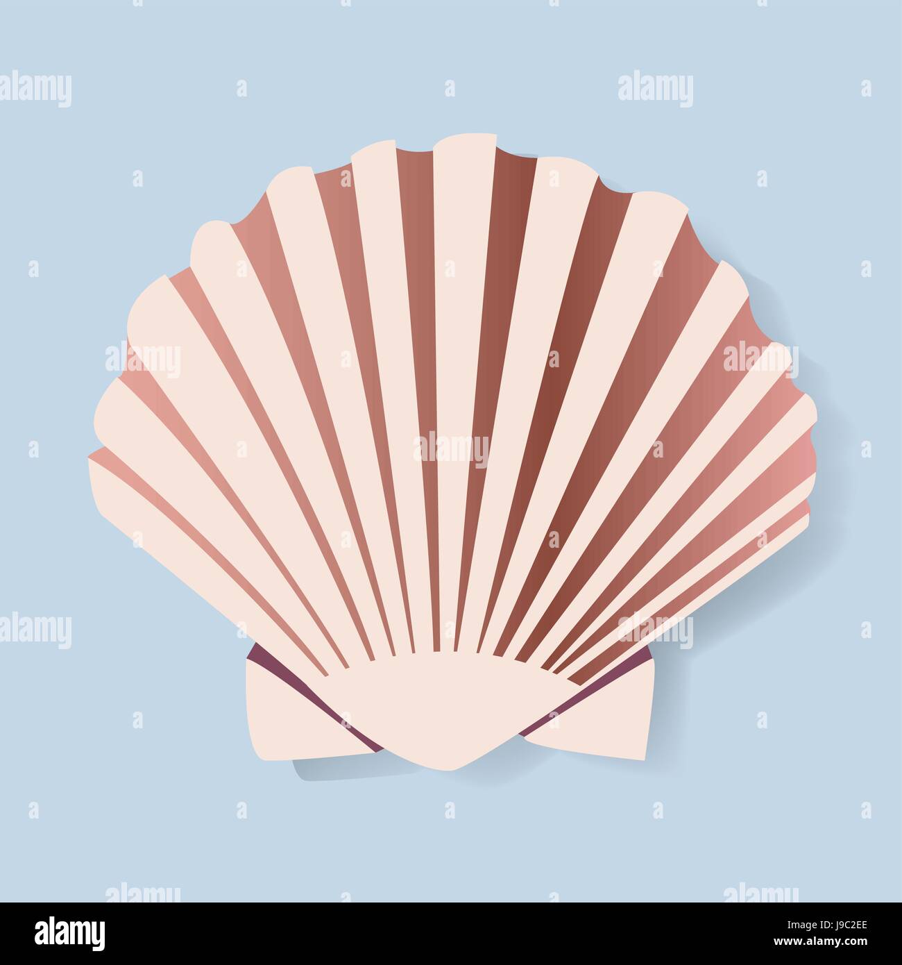 Seashell Vectot Illstration Graphic Design Stock Vector Image & Art - Alamy