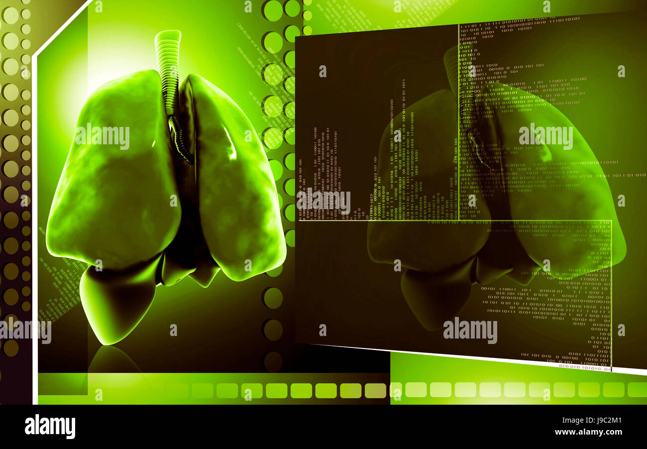 education, health, medicinally, medical, graphics, colour, science ...