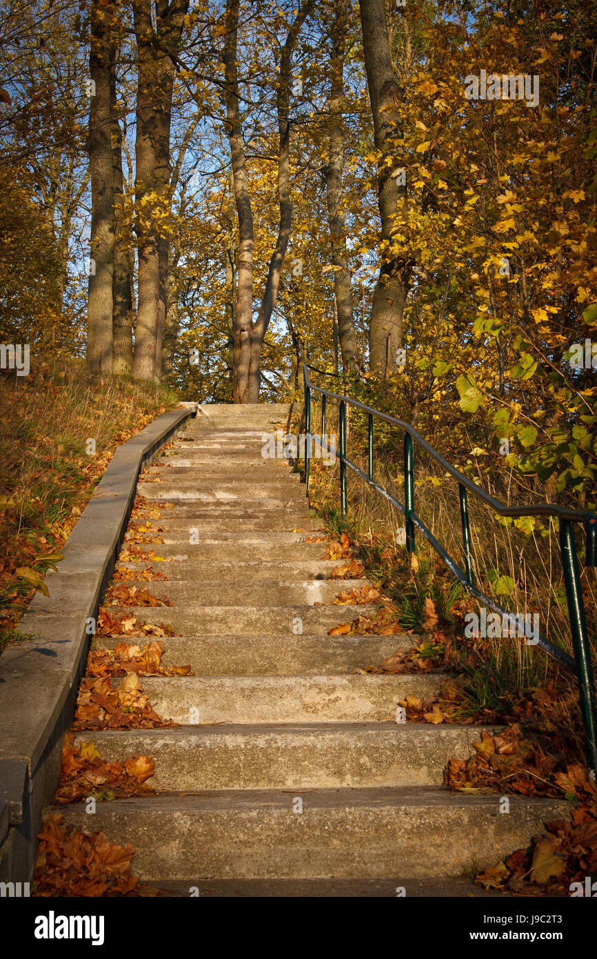 stairs with autumn leaves Stock Photo - Alamy