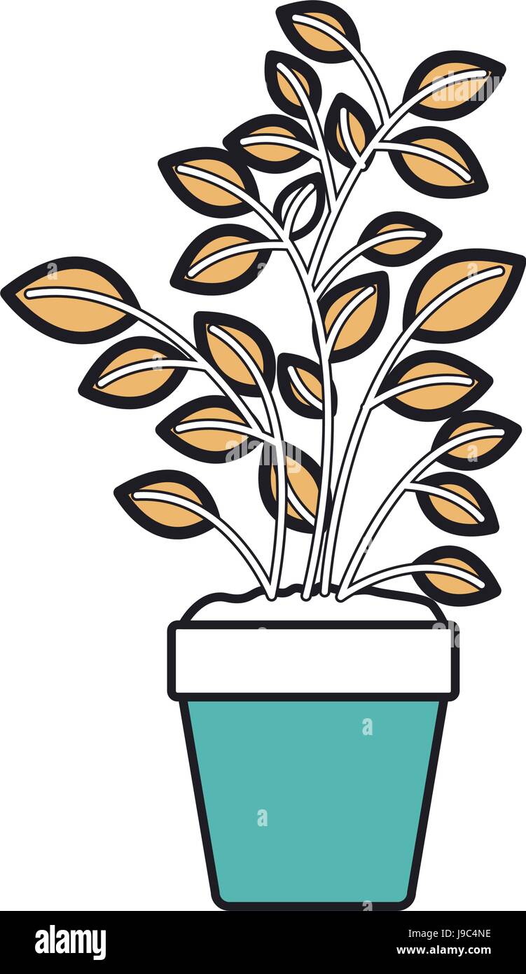 silhouette color sections of plant pot Stock Vector Image & Art - Alamy