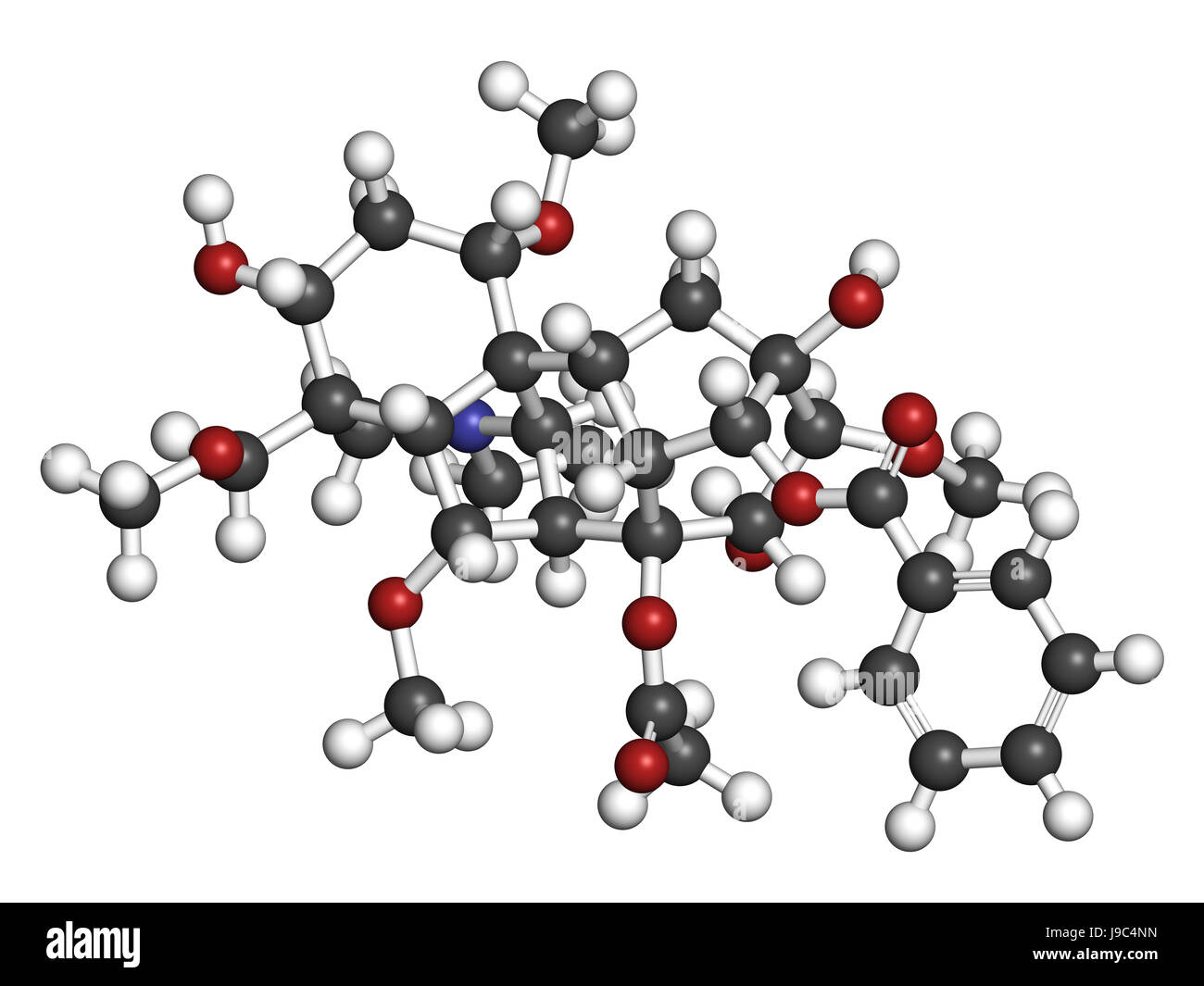 Aconitine molecule. Toxin present in Aconitum plants (monkshood). 3D ...