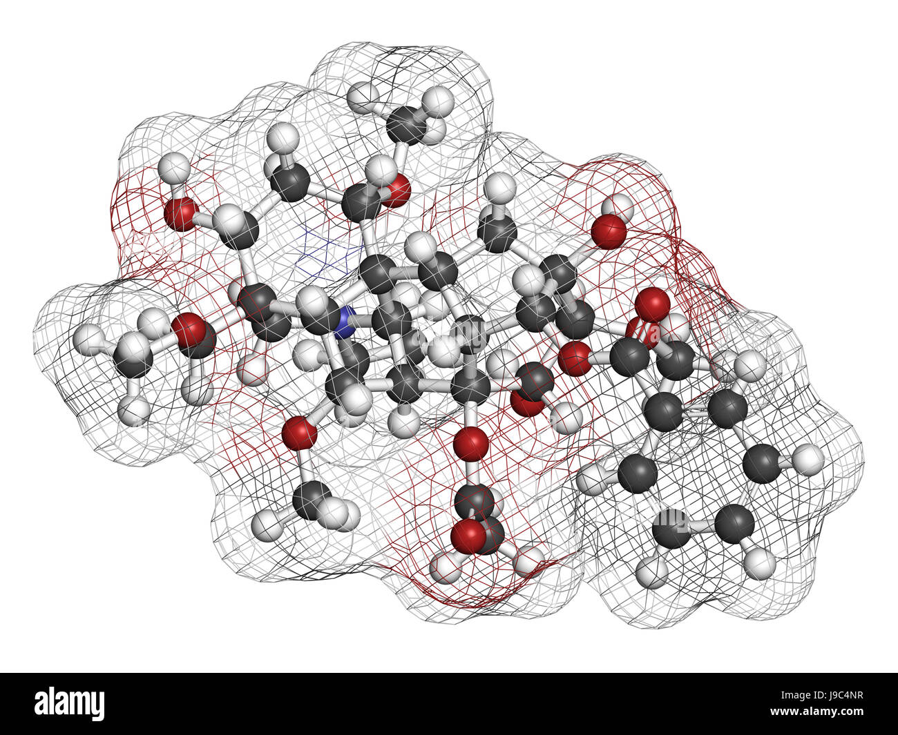 Aconitine molecule. Toxin present in Aconitum plants (monkshood). 3D ...