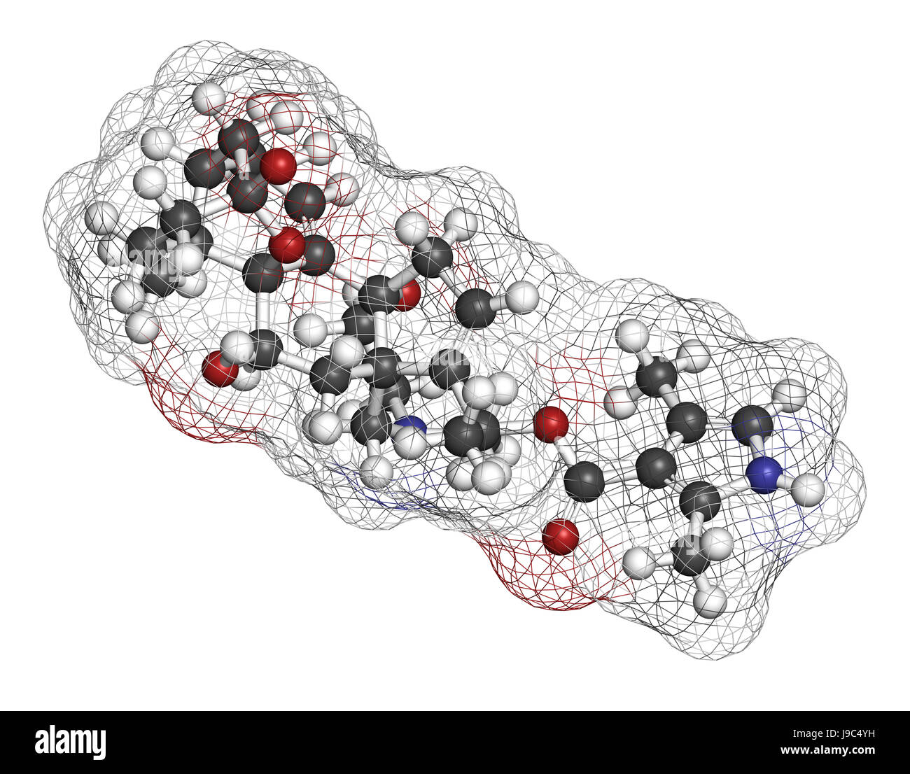 Batrachotoxin (BTX) neurotoxin molecule. Found in number of animals ...