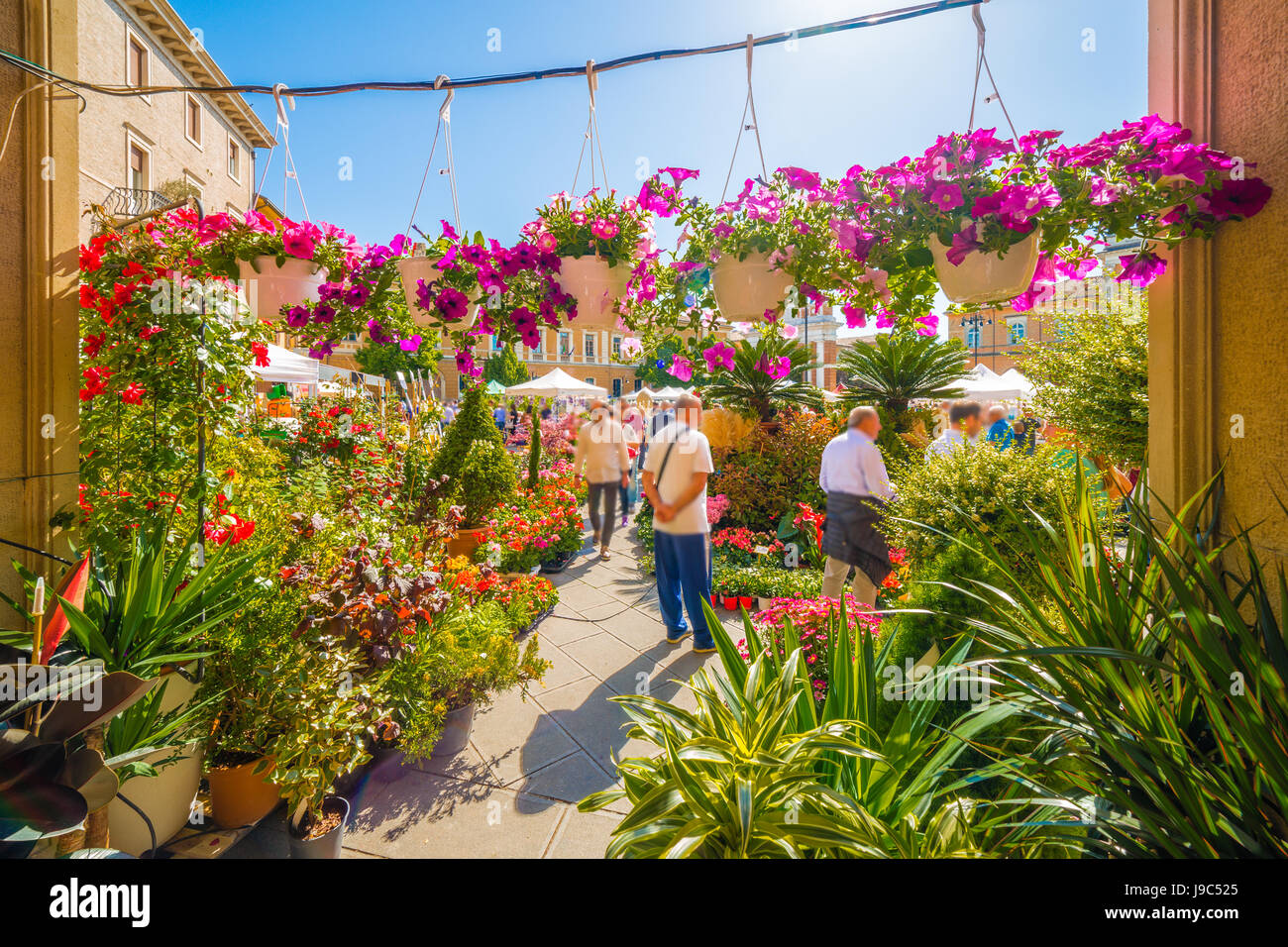 Flower market in medieval village in Italy Stock Photo - Alamy
