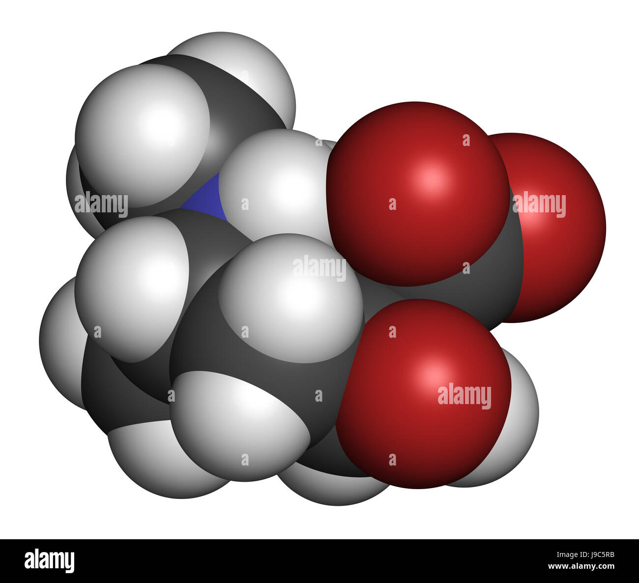 Ecgonine coca alkaloid molecule. Metabolite of cocaine. 3D rendering ...