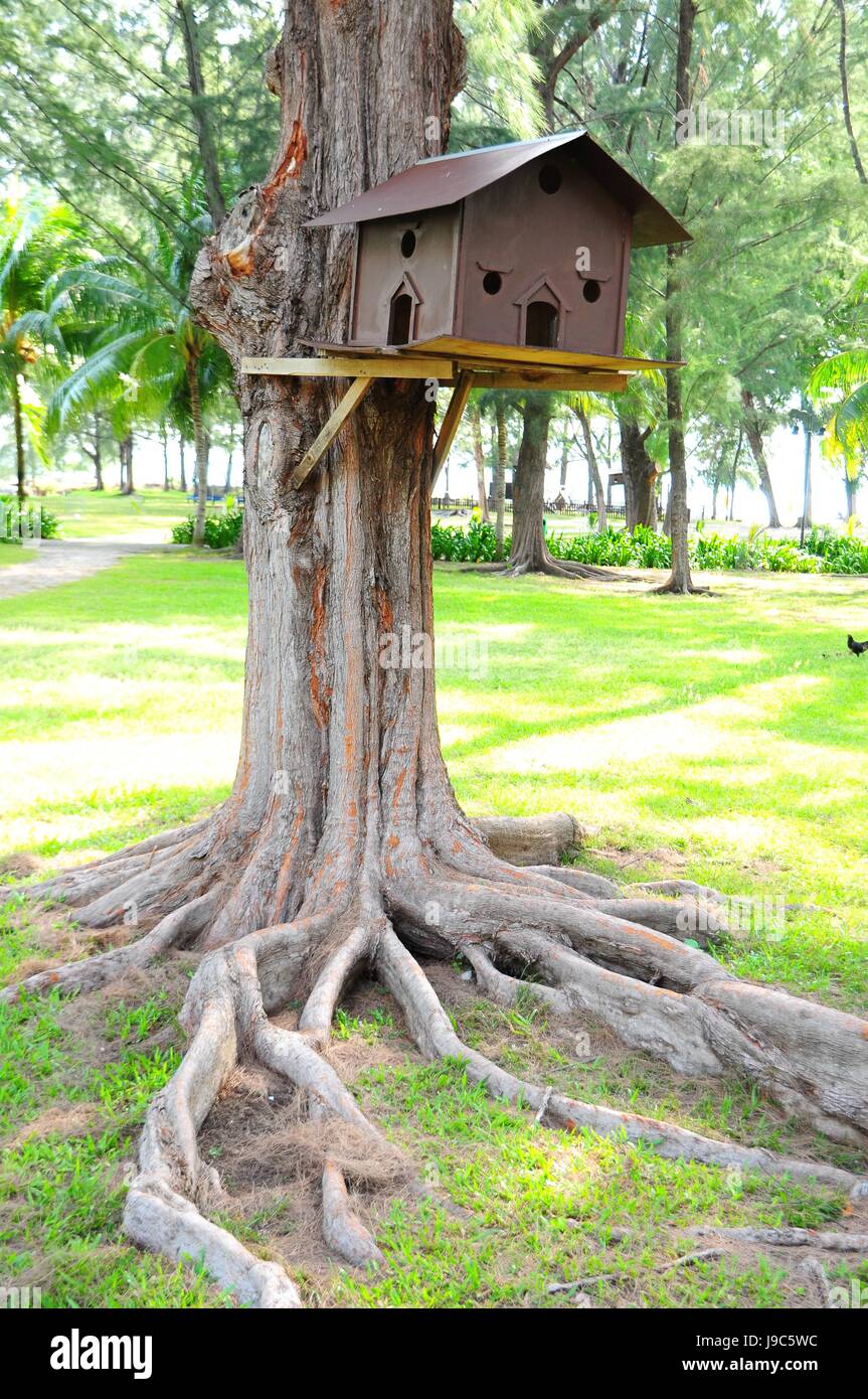 tree, wood, trunk, wooden, resort, close, compartment, house, building ...