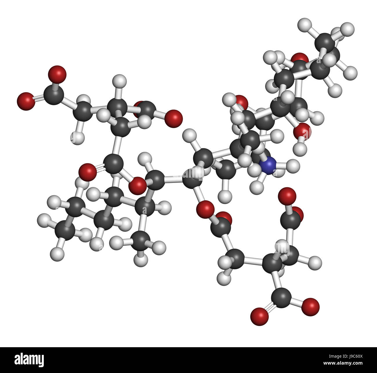 Fumonisin B1 mycotoxin molecule. Fungal toxin produced by some Fusarium ...