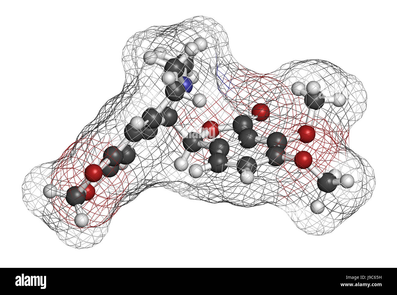 Orangeroot hydrastis canadensis hi-res stock photography and images - Alamy