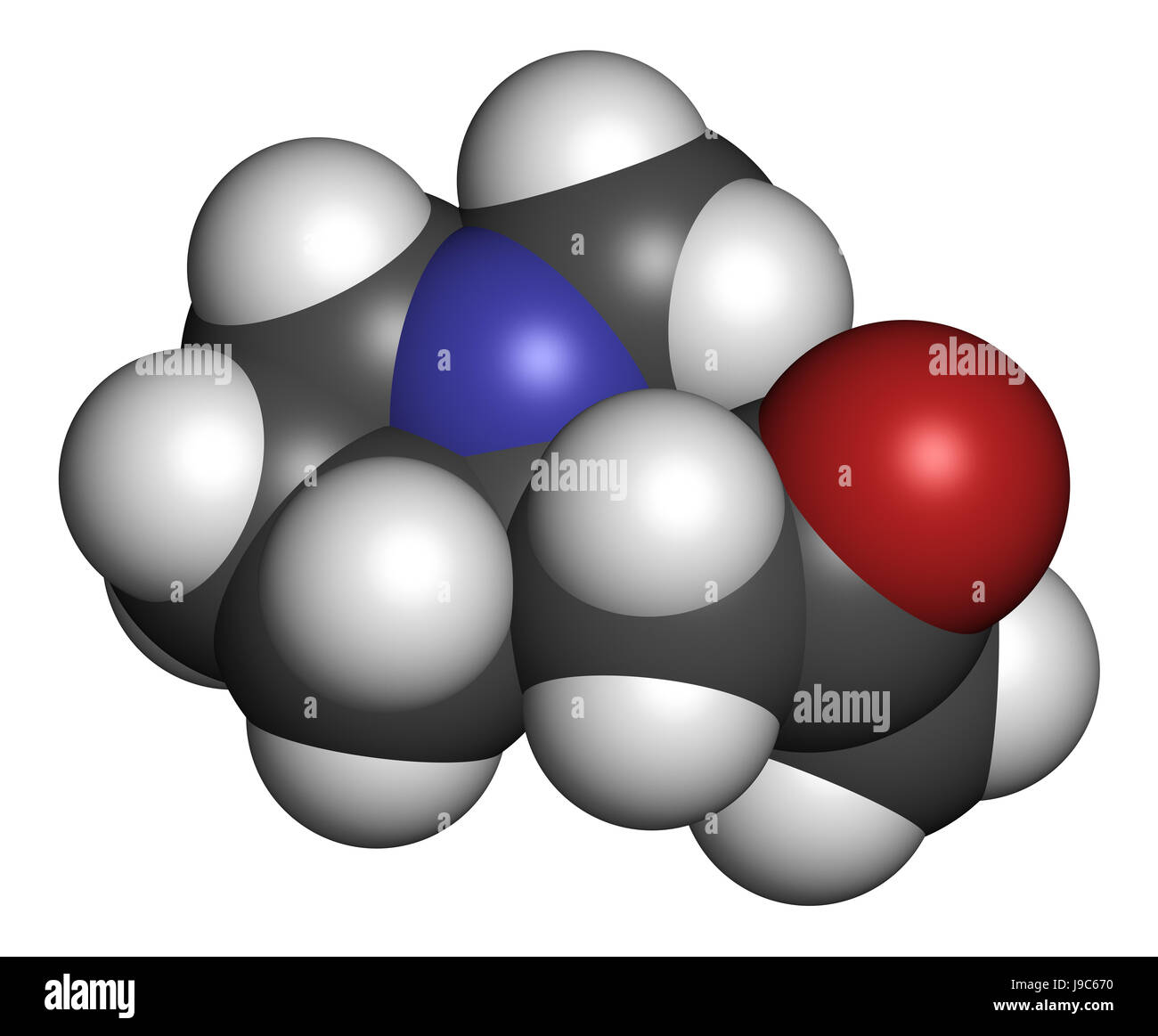 Hygrine coca alkaloid molecule. 3D rendering. Atoms are represented as ...